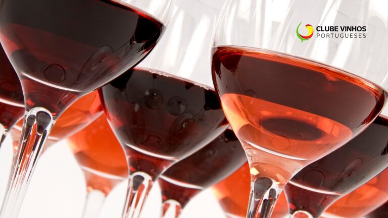 Os 10 Melhores Vinhos Italianos do Momento: Uma Viagem Pelos Sabores ...